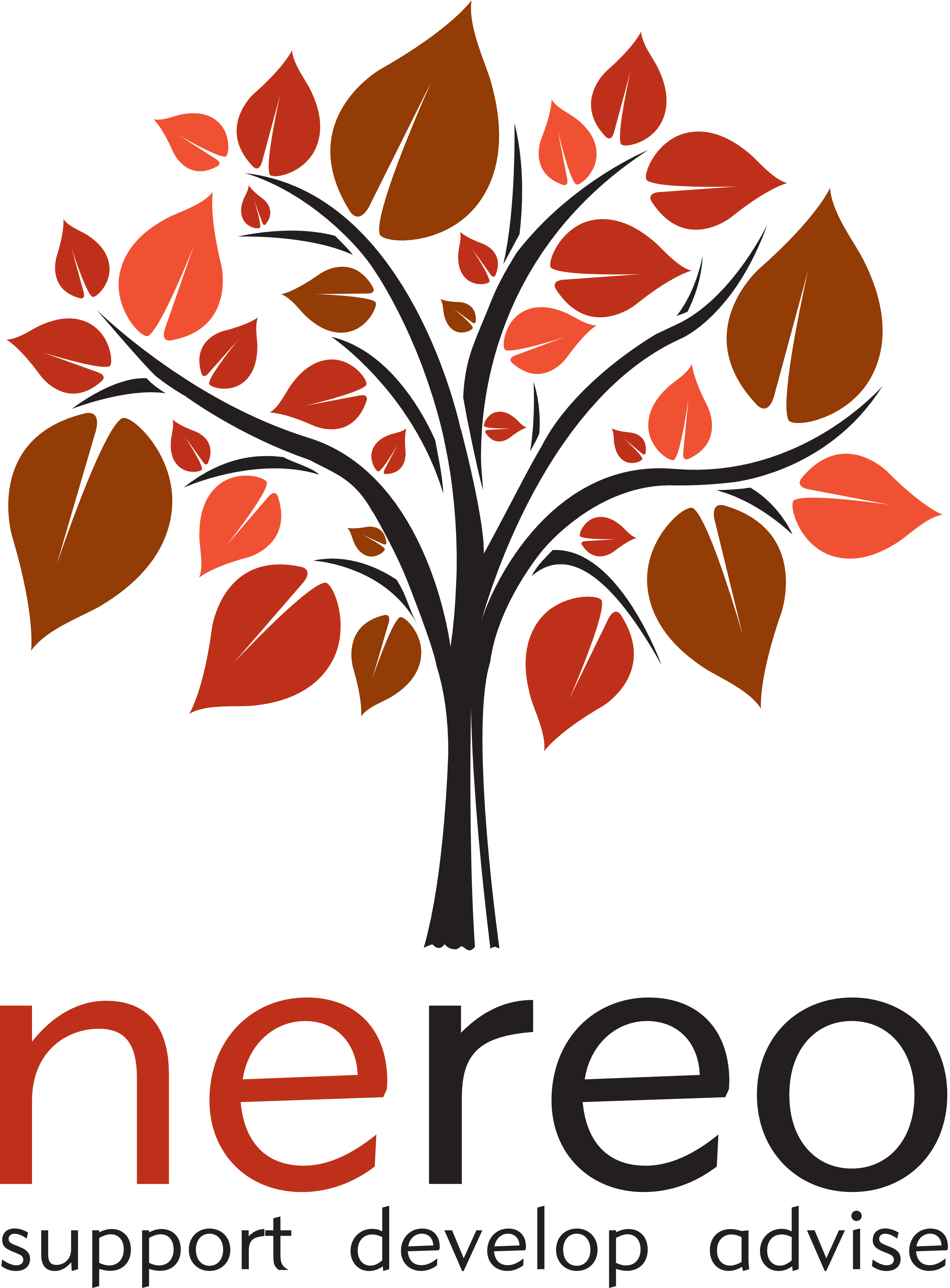 NEREO Support Develop Advise